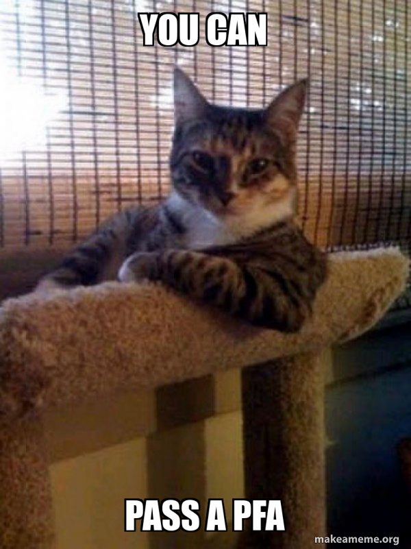 you can pass a pfa - The Most Interesting Cat in the World Meme Generator