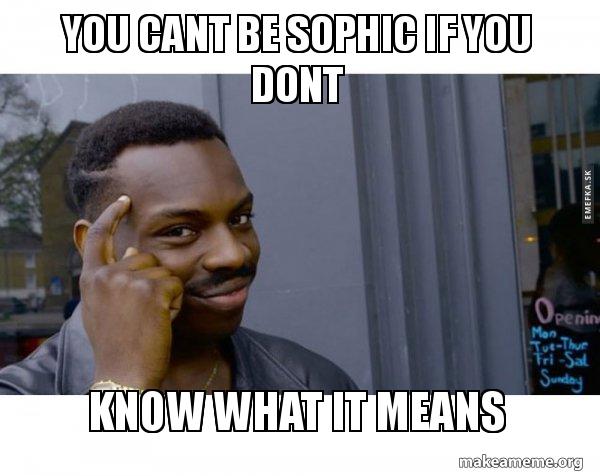 You cant be sophic if you dont know what it means - Roll Safe Black Guy ...
