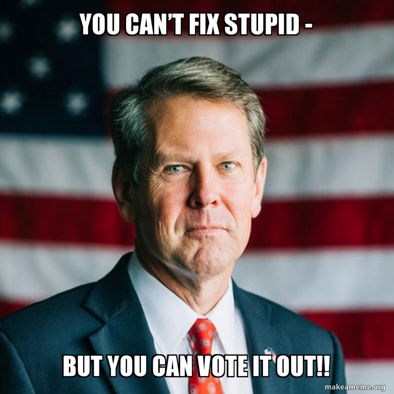 You canâ€™t fix stupid - But you can vote it out!! Meme Generator