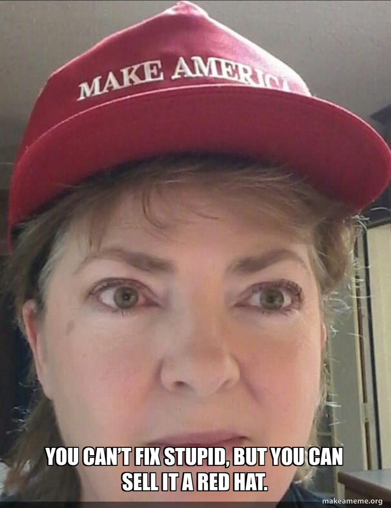 You can’t fix stupid, But you can sell it a red hat. Meme Generator