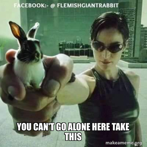 You can't go alone here take this Meme Generator