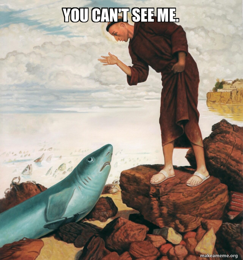 you can't see me. Meme Generator