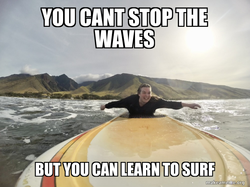 You cant stop the waves But you can learn to surf Meme Generator