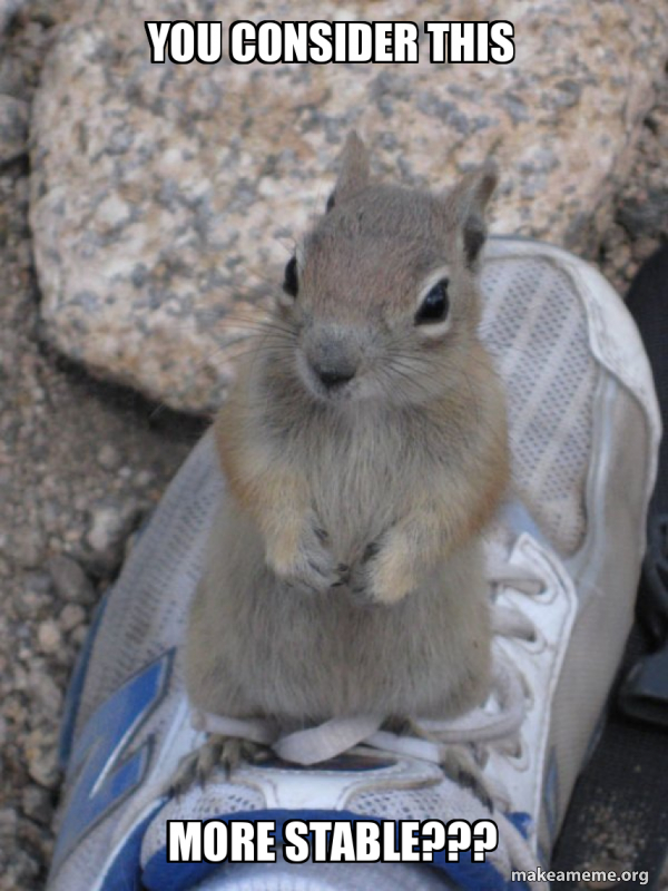 you consider this more stable??? - Standover Squirrel Meme Generator