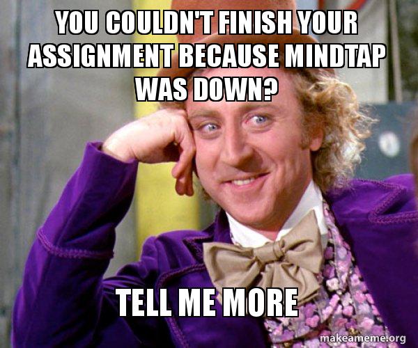 You couldn't finish your assignment because MindTap was down? Tell me ...