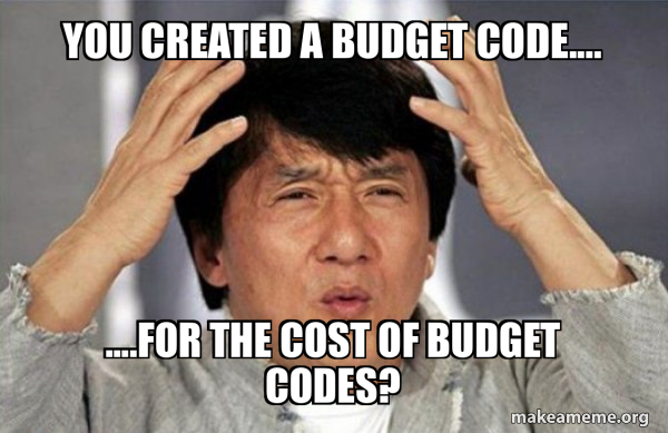 You created a budget code.... ....for the cost of budget codes ...