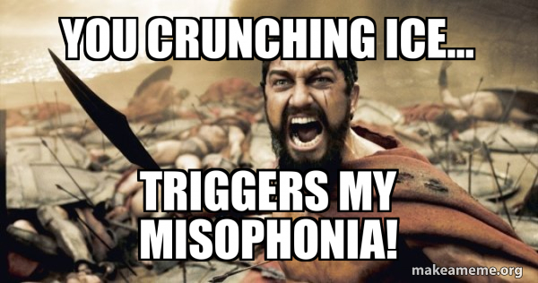 You crunching ice… Triggers my Misophonia! - The 300 Meme Generator