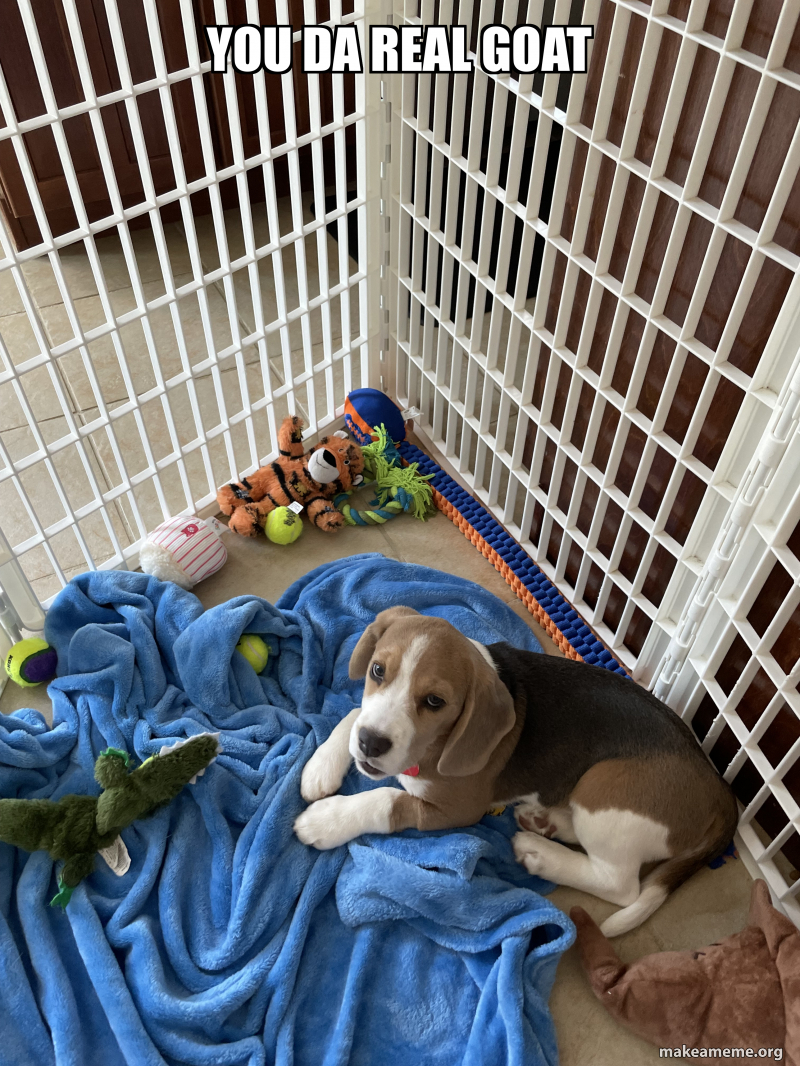You da real goat Meme Generator