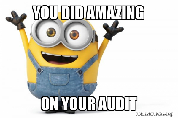YOU DID AMAZING ON YOUR AUDIT - Happy Minion Meme Generator