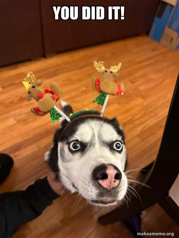 you did it! Meme Generator