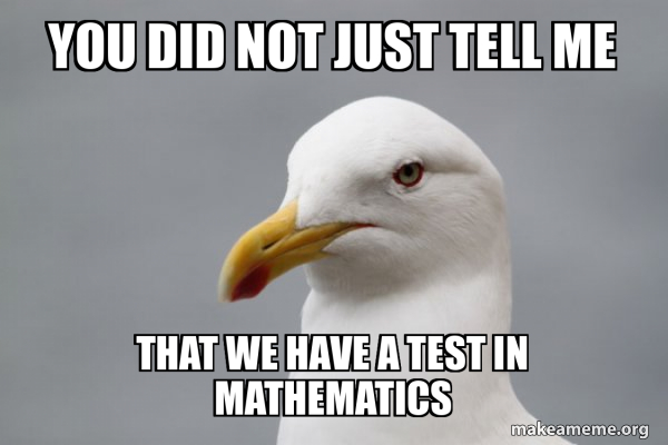 You did not just tell me That we have a test in mathematics - Stuff ...
