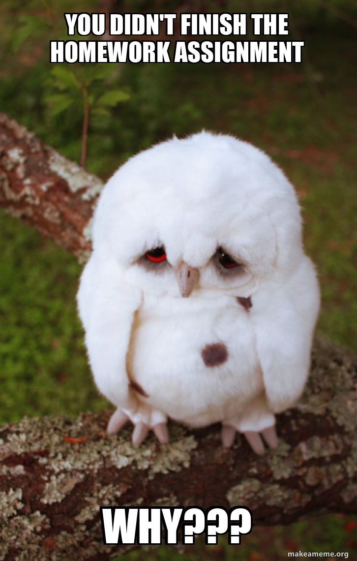 you didn't finish the homework assignment why??? - Sad Owl Meme Generator