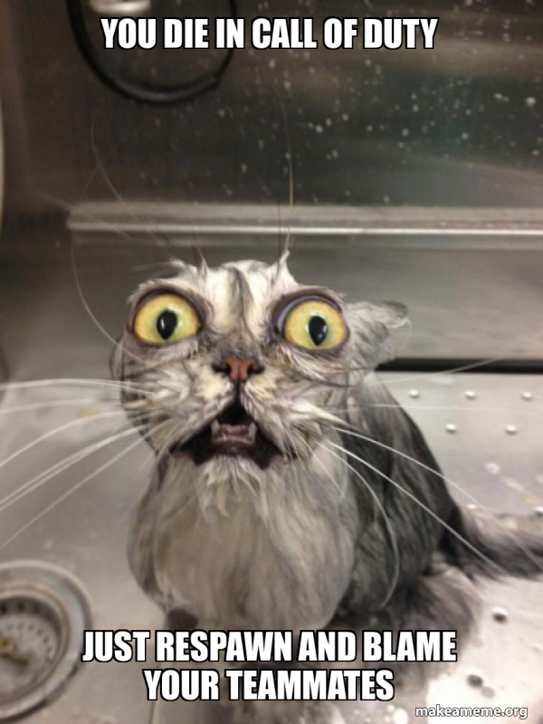 You die in Call of Duty Just respawn and blame your teammates - Cat ...