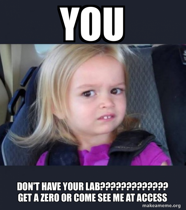YOU DON'T HAVE YOUR LAB????????????? GET A ZERO OR COME SEE ME AT ...