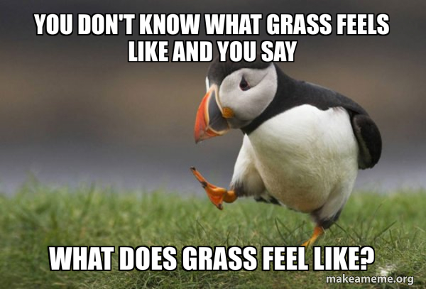 You don't know what grass feels like and you say What does grass feel ...