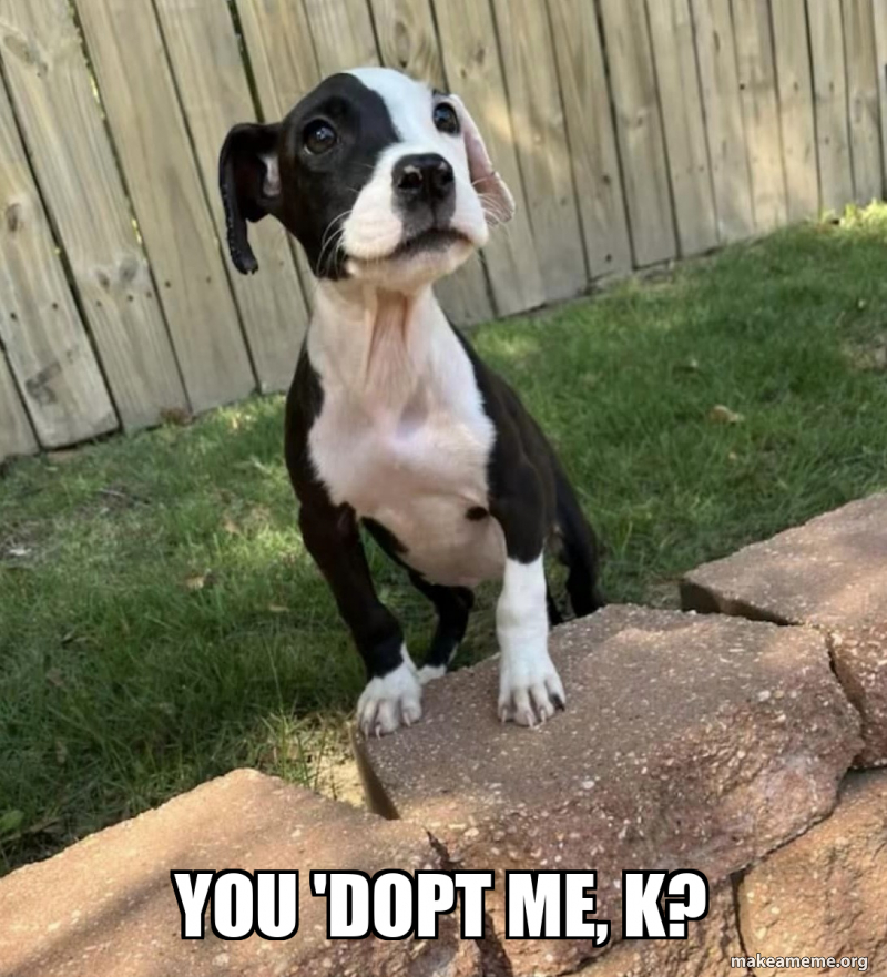 You 'dopt me, K? Meme Generator