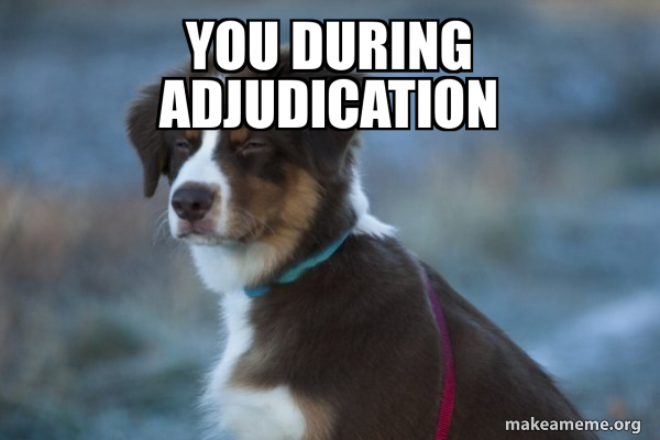 You during adjudication - Unsure Dog Meme Generator
