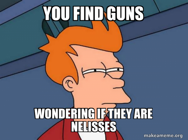 you find guns wondering if they are nelisses - Futurama Fry Meme Generator