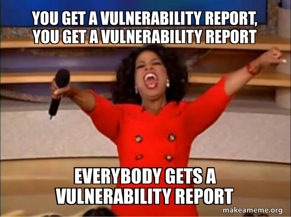 YOU GET A VULNERABILITY REPORT, YOU GET A VULNERABILITY REPORT ...