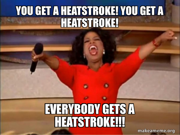 You get a heatstroke! You get a heatstroke! Everybody gets a heatstroke ...