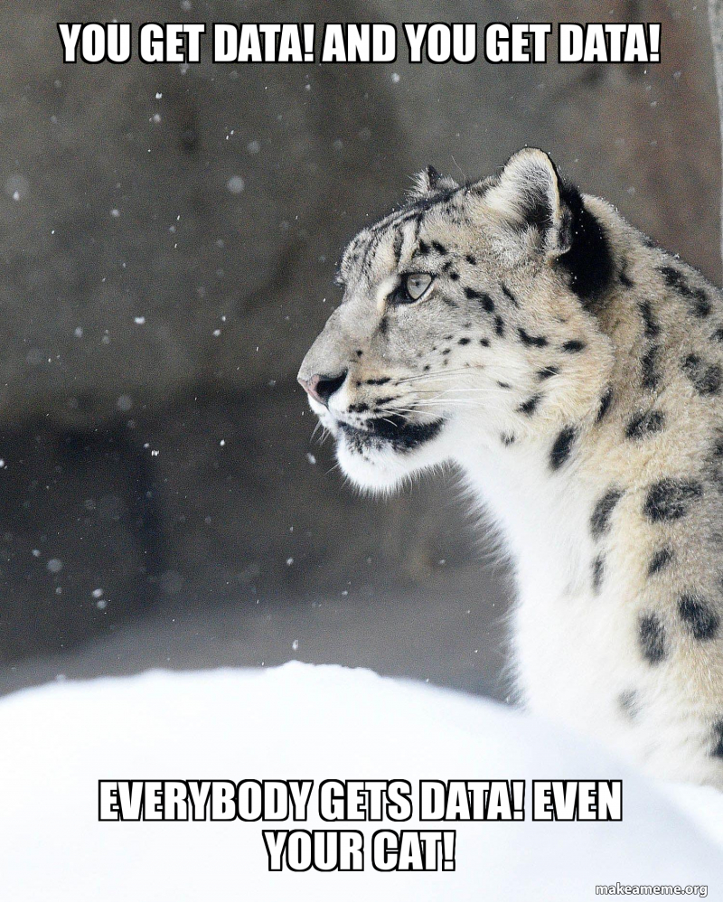You get data! And you get data! Everybody gets data! Even your cat ...
