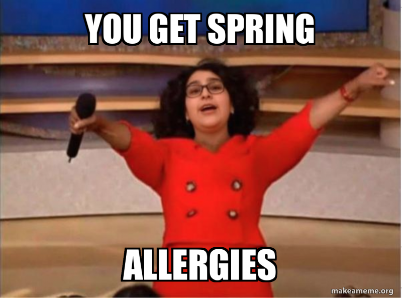 you get spring allergies Meme Generator