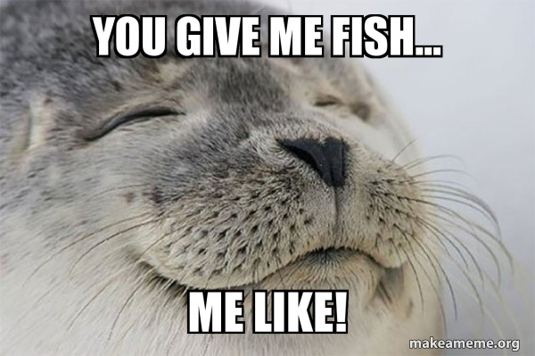 you give me fish... me like! - Satisfied Seal Meme Generator