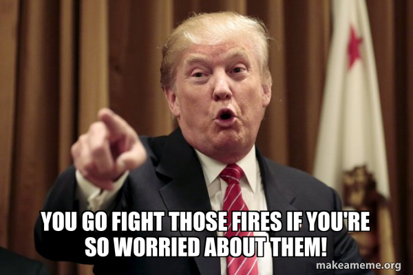 you go fight those fires if you're so worried about them! - Donald ...