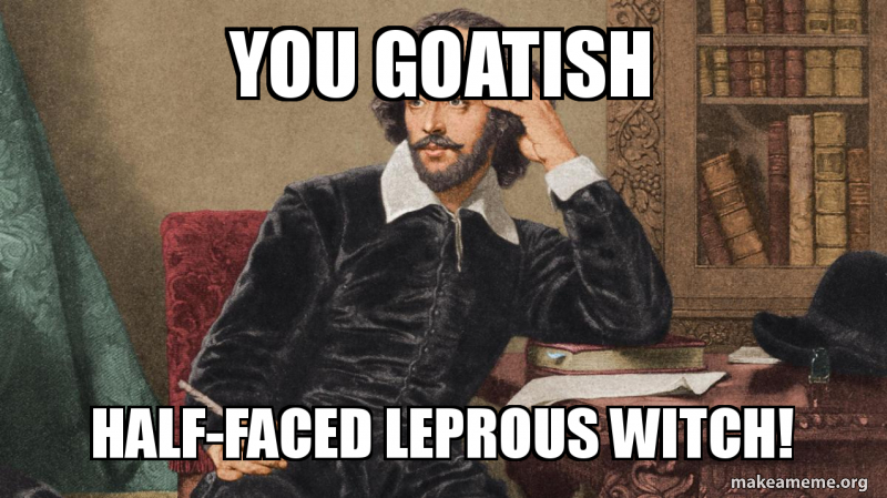 You goatish HALF-FACED LEPROUS WITCH! Meme Generator