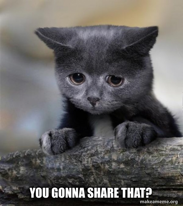You gonna share that? - Confession Cat Meme Generator