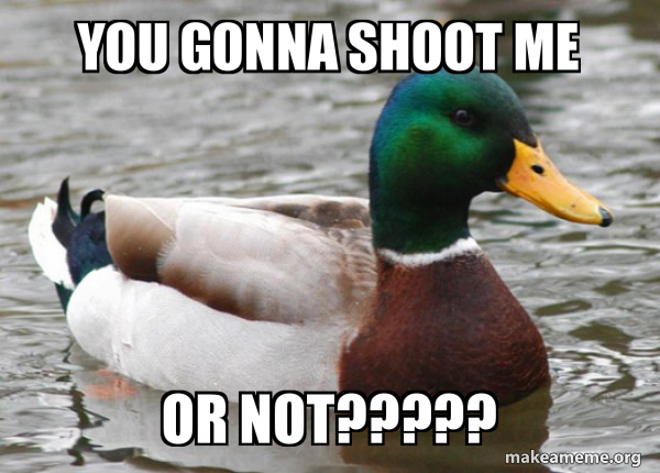 You gonna shoot me OR NOT????? - Actual Advice Mallard Meme Generator
