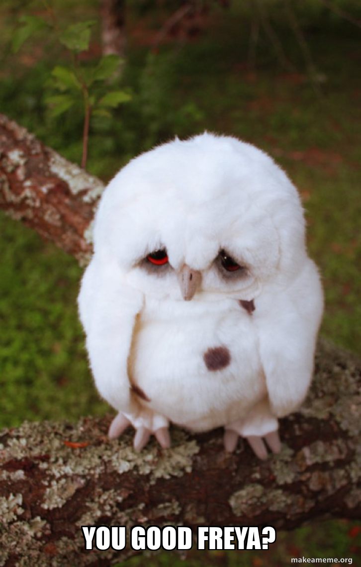 You good Freya? - Sad Owl Meme Generator