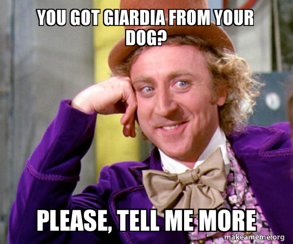 You got Giardia from your dog? Please, tell me more - Willy Wonka ...
