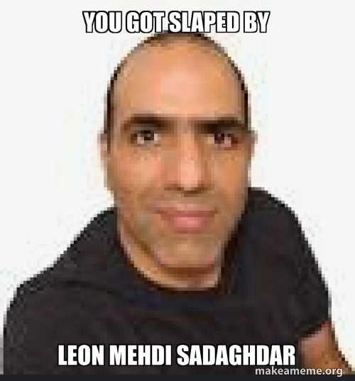 YOU GOT SLAPED BY lEON Mehdi Sadaghdar Meme Generator