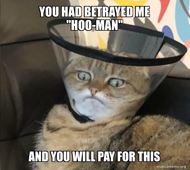 You had betrayed me "hoo-man" And you will pay for this Meme Generator