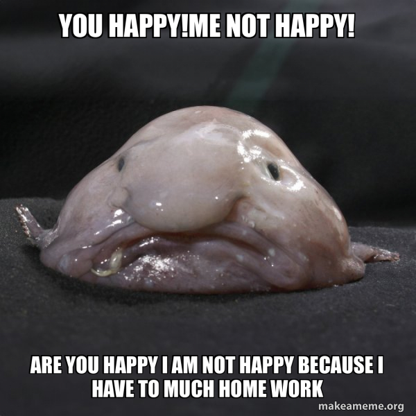 you happy!me not happy! are you happy I am not happy because I have to ...