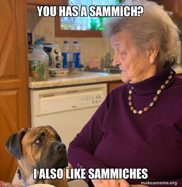 You has a sammich? I also like sammiches Meme Generator