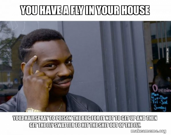 You have a fly in your house Youz hairspray to poison the bug for it ...