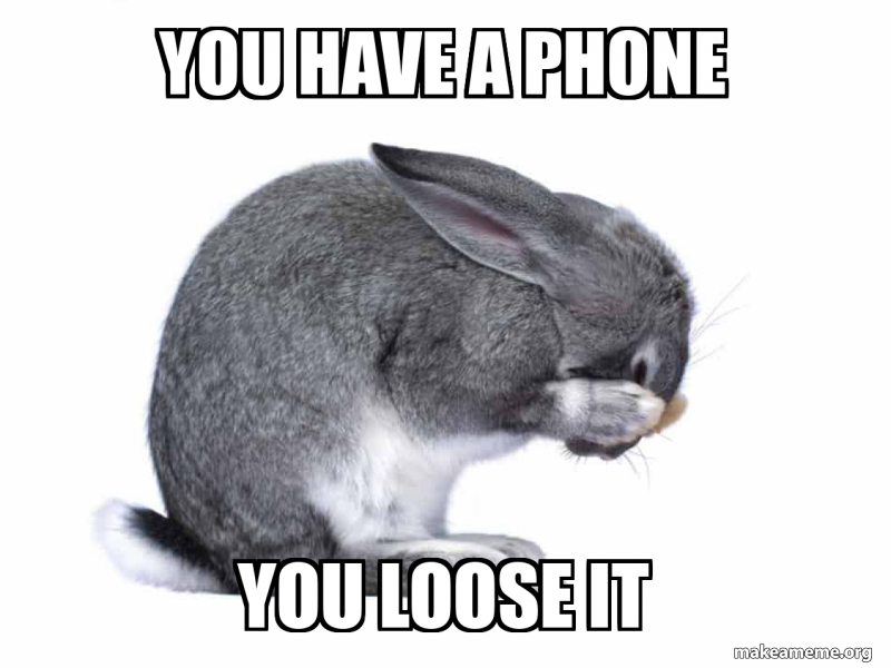 you have a phone you loose it - you lost your joy Meme Generator