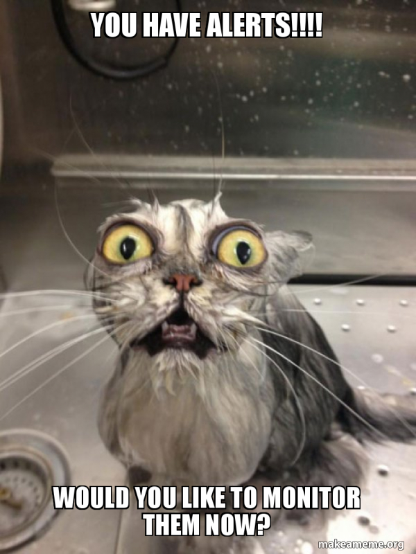 You have Alerts!!!! Would you like to monitor them now? - Cat bath Meme ...