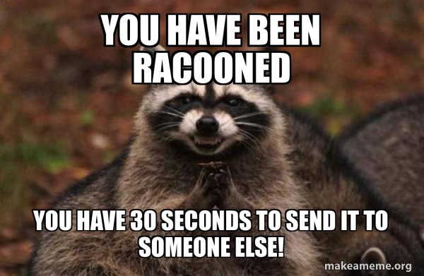 You have been racooned You have 30 seconds to send it to someone else! - Evil Plotting Raccoon ...