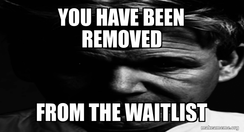 YOU HAVE BEEN REMOVED FROM THE WAITLIST Meme Generator