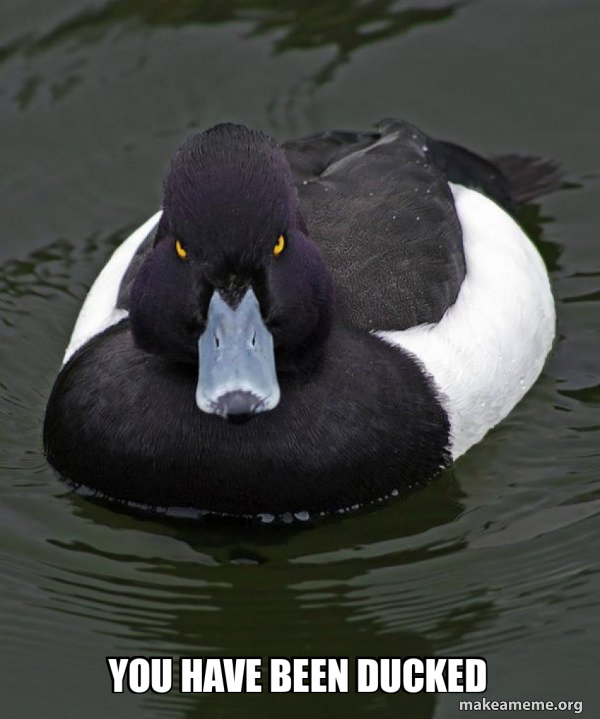 You have been ducked - Revenge Duck ( Angry Advice Duck ) Meme Generator