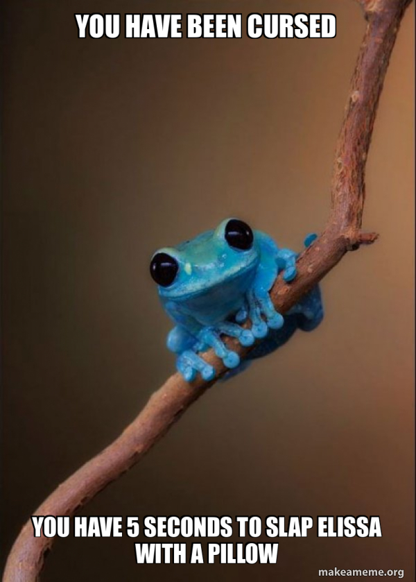 you have been cursed you have 5 seconds to slap elissa with a pillow - Small Fact Frog Meme ...