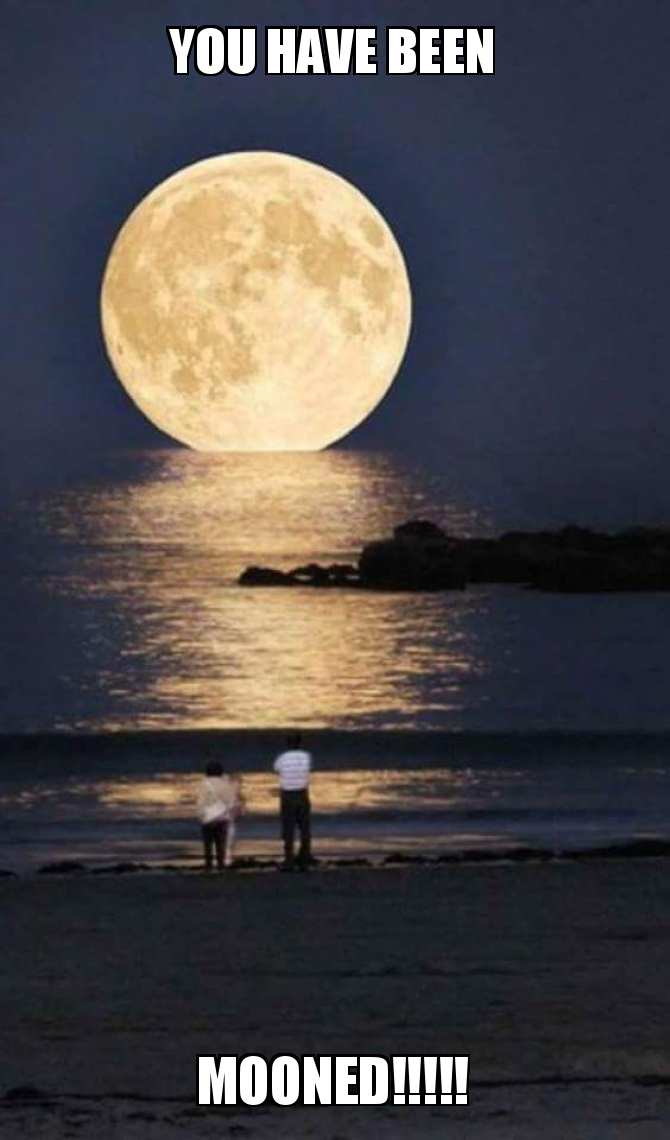 YOU HAVE BEEN MOONED!!!!! Meme Generator