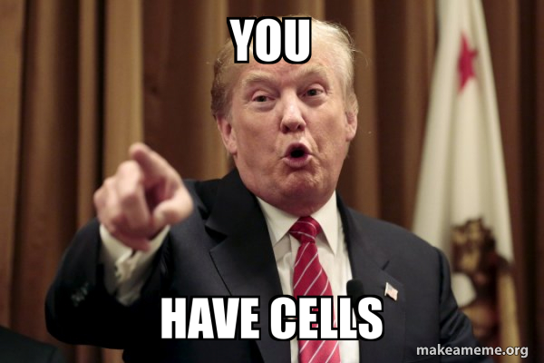 You Have cells - Donald Trump Says Meme Generator