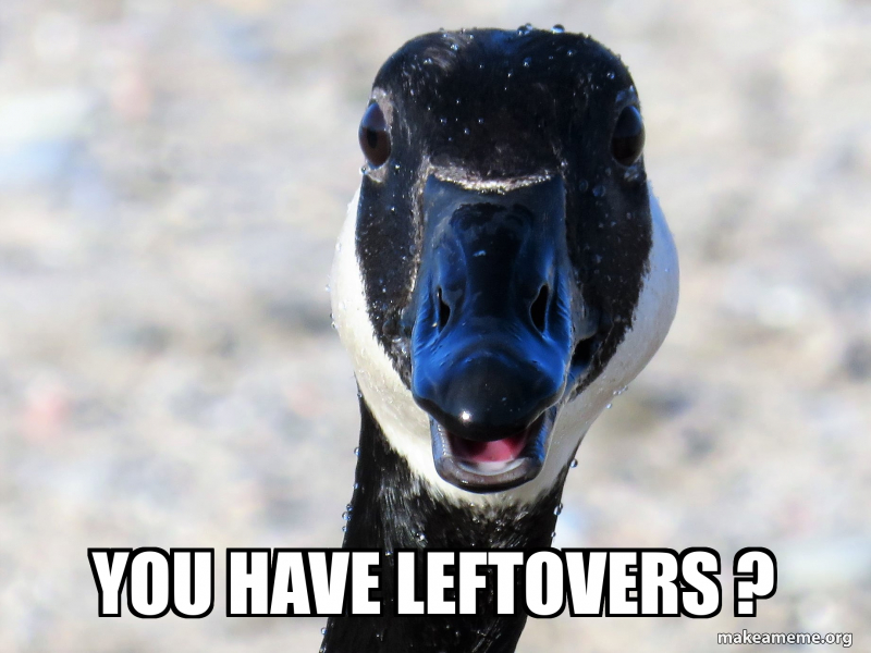you have leftovers ? Meme Generator