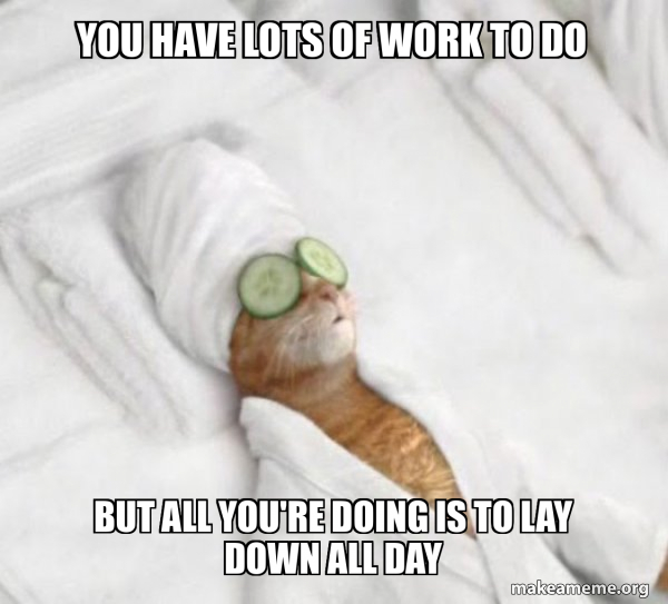 YOU HAVE LOTS OF WORK TO DO BUT ALL YOU'RE DOING IS TO LAY DOWN ALL DAY ...