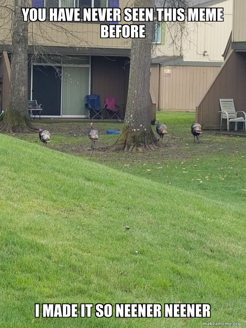 YOU HAVE NEVER SEEN THIS MEME BEFORE I MADE IT SO NEENER NEENER Meme ...