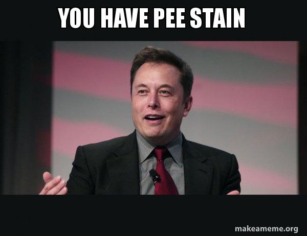 you have pee stain - Elon Musk Meme Generator
